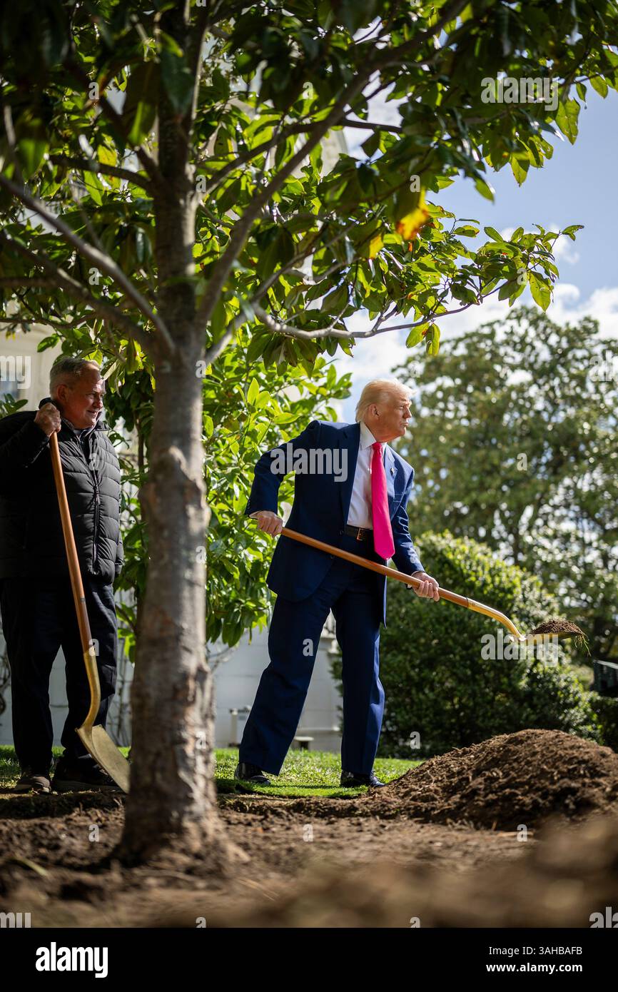 Washington, United States. 08th Apr, 2025. U.S President Donald Trump ...