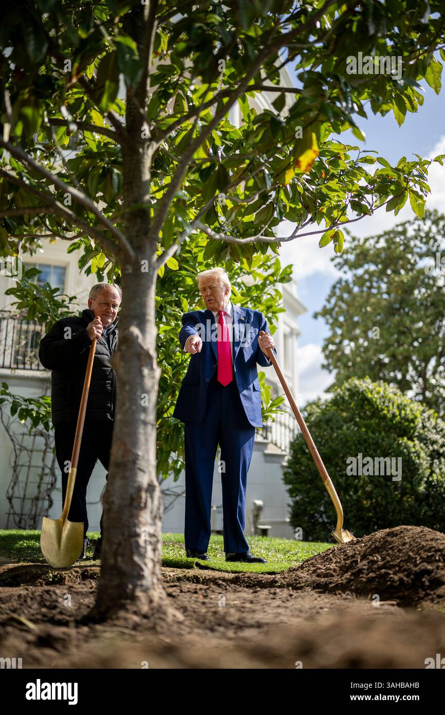 Washington, United States. 08th Apr, 2025. U.S President Donald Trump ...