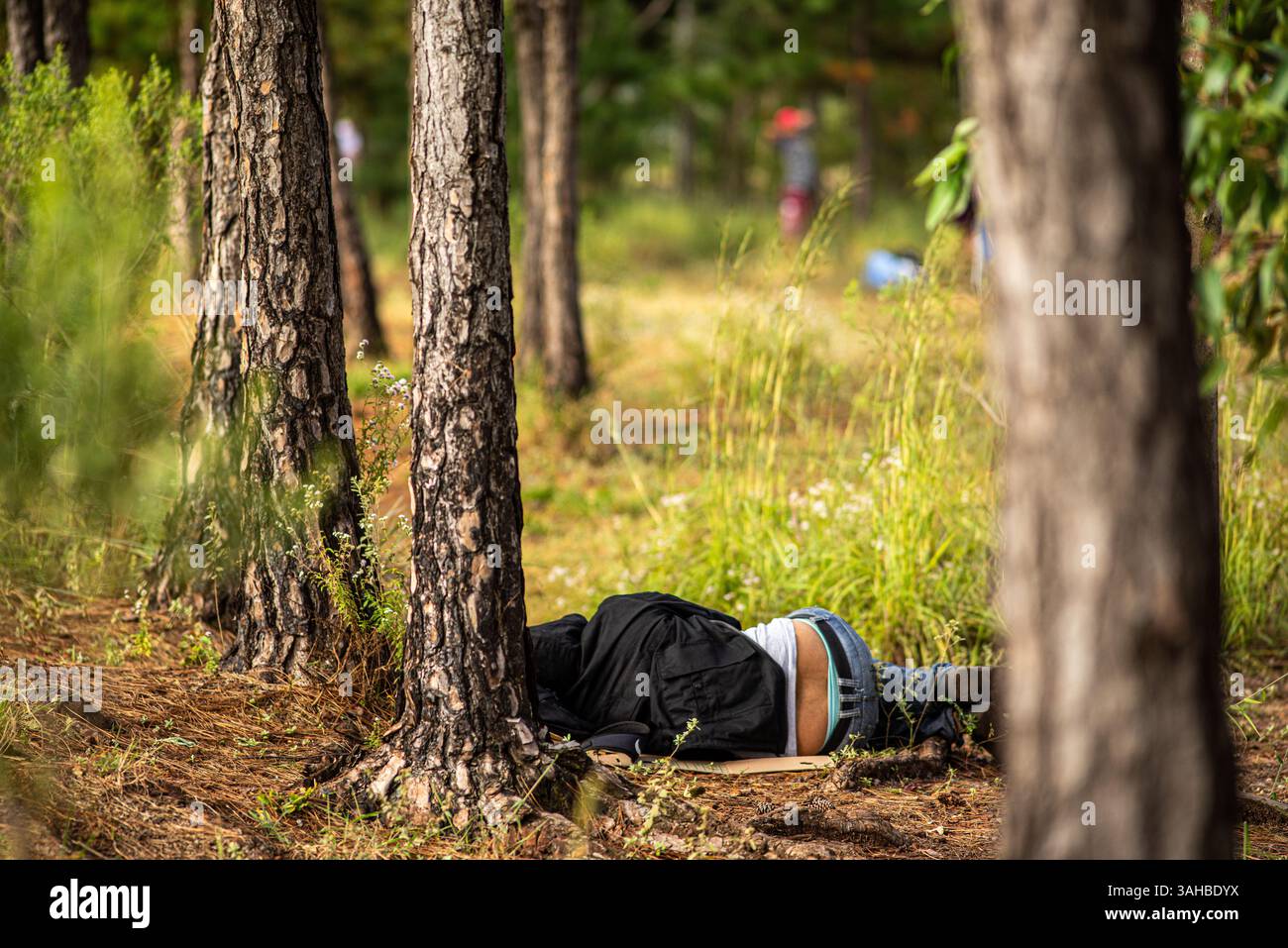 a young man sleeping in the woods amidst the trees Stock Photo - Alamy