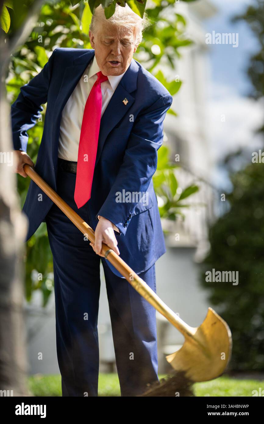 April 8, 2025, Washington, District of Columbia, USA: President Donald ...