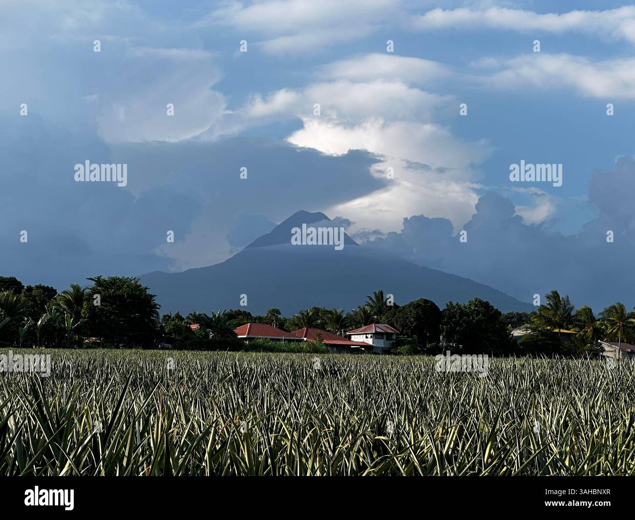 Mount Matutum, Active Volcano, Philippines Stock Photo - Alamy