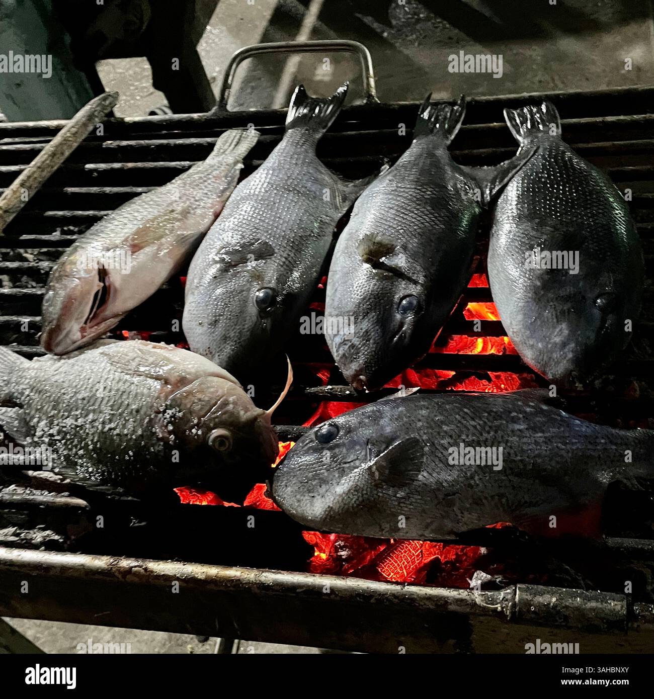 Fish cooking on a charcoal grill Stock Photo - Alamy