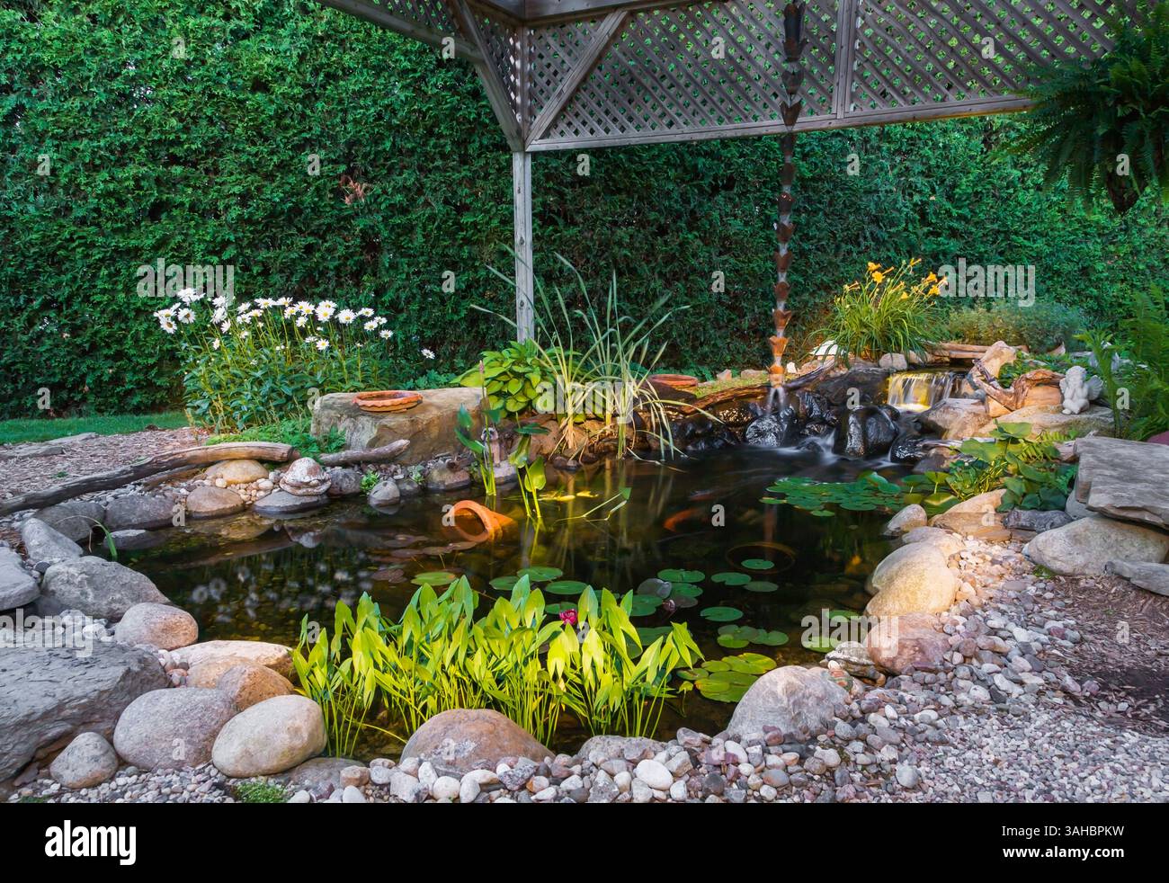 Illuminated rock edged pond with cascading waterfall and Pontederia ...