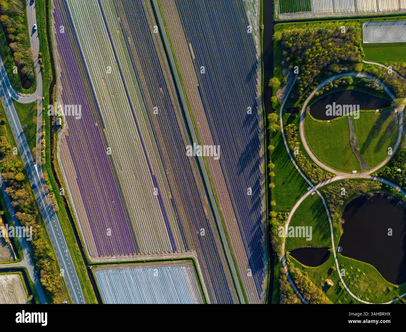 Aerial view of a uniquely designed park with circular paths and ponds ...