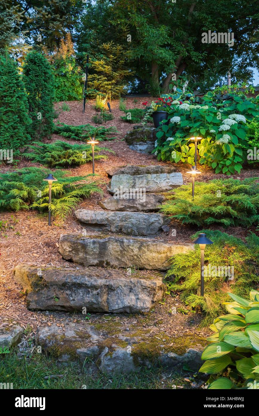 Natural stone steps with evergreen shrubs, white Hydrangea, Thuja ...