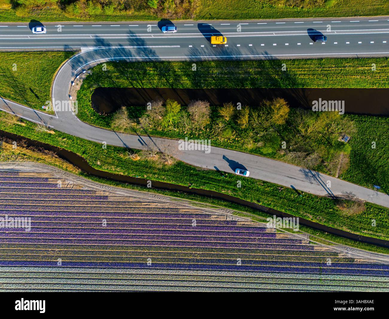 Top down aerial long rows hi-res stock photography and images - Alamy