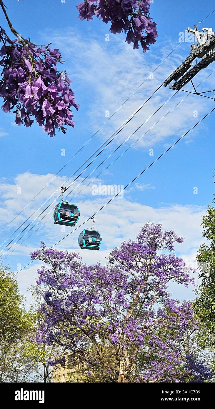 Mexico City, Mexico - March 26, 2025: Cablebus public transportation ...