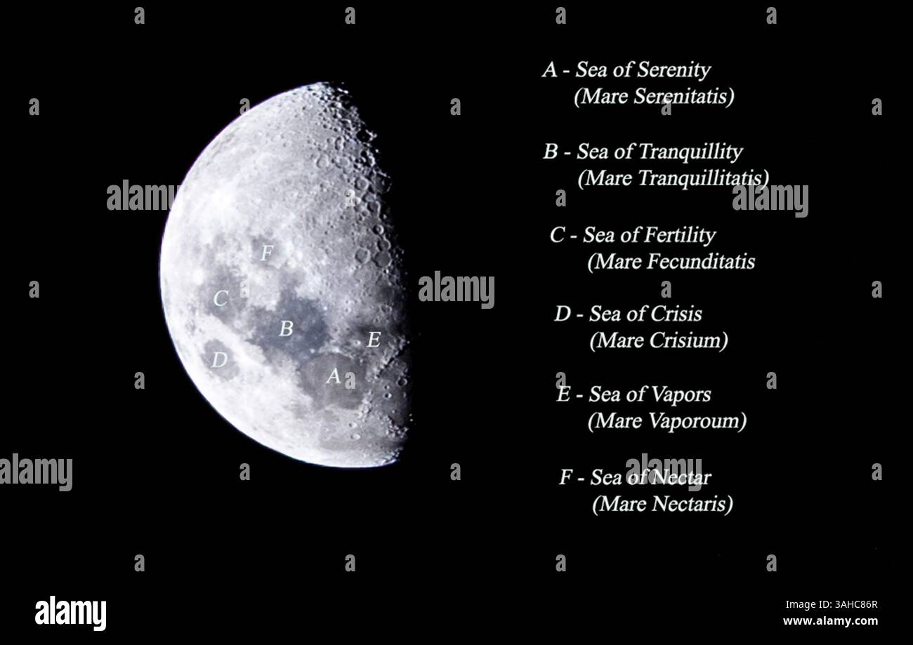 The First Quarter Moon is 7 days after the New Moon, seen in the ...