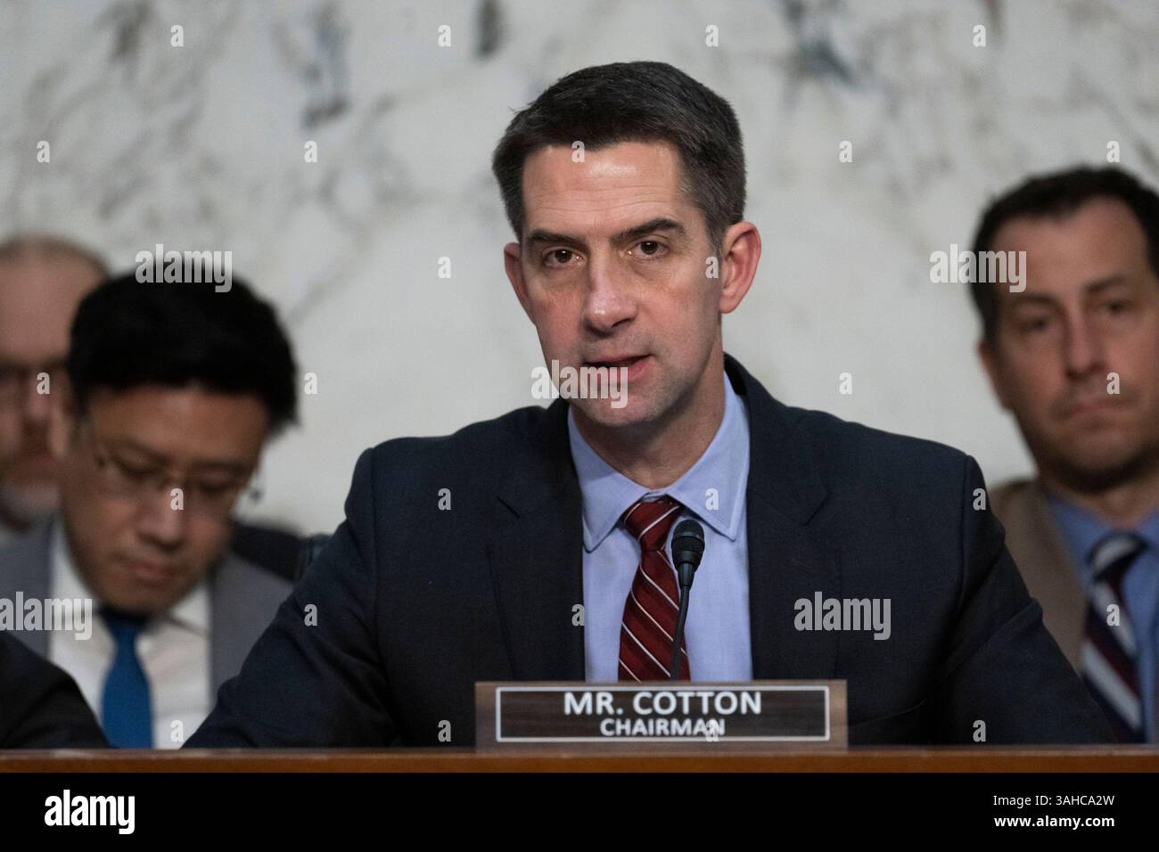 Tim Cotton questions Aaron Lukas at a Senate Committee on Intelligence ...