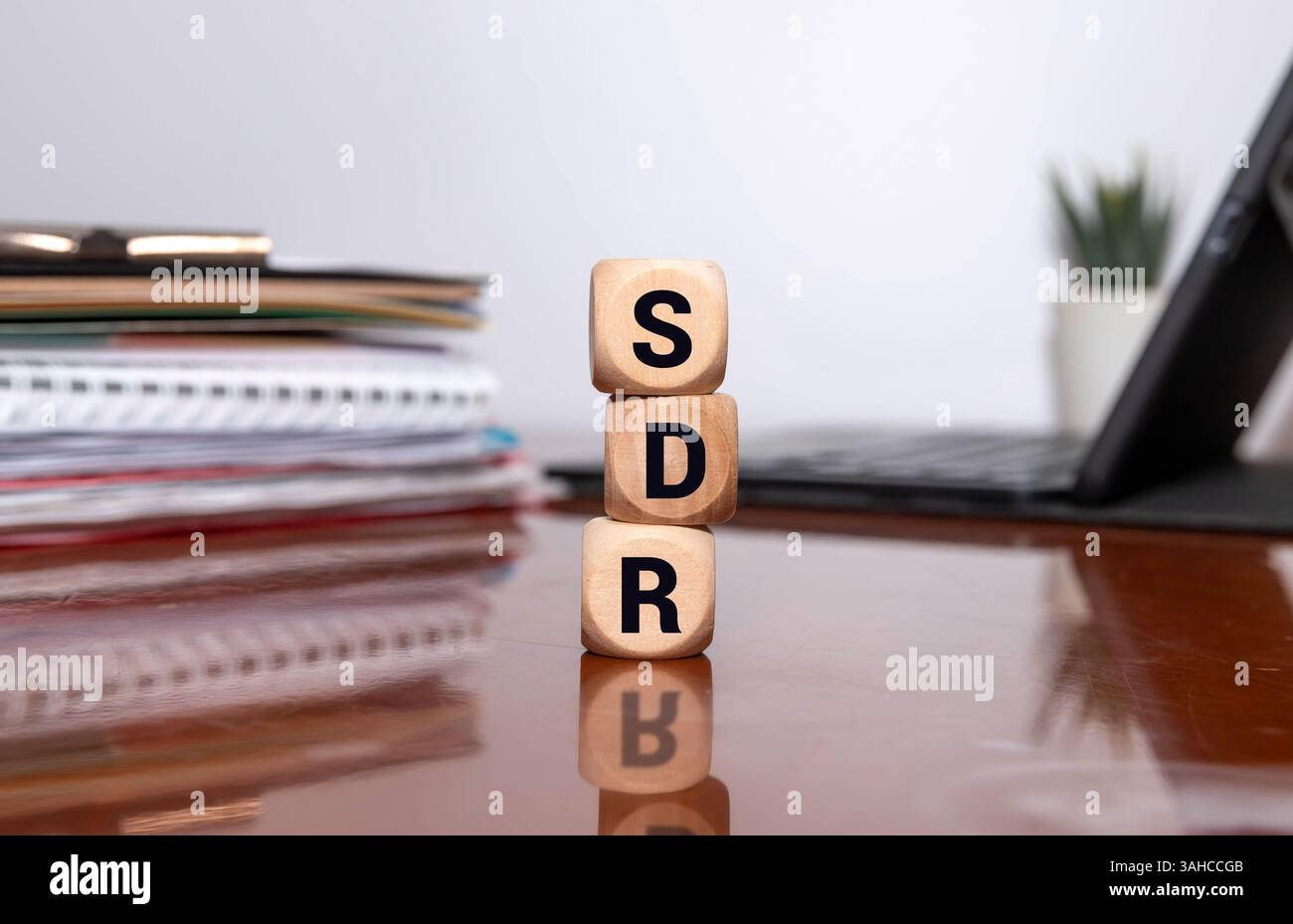 SDR - text on a green background. Wooden cubes and flower in a pot ...