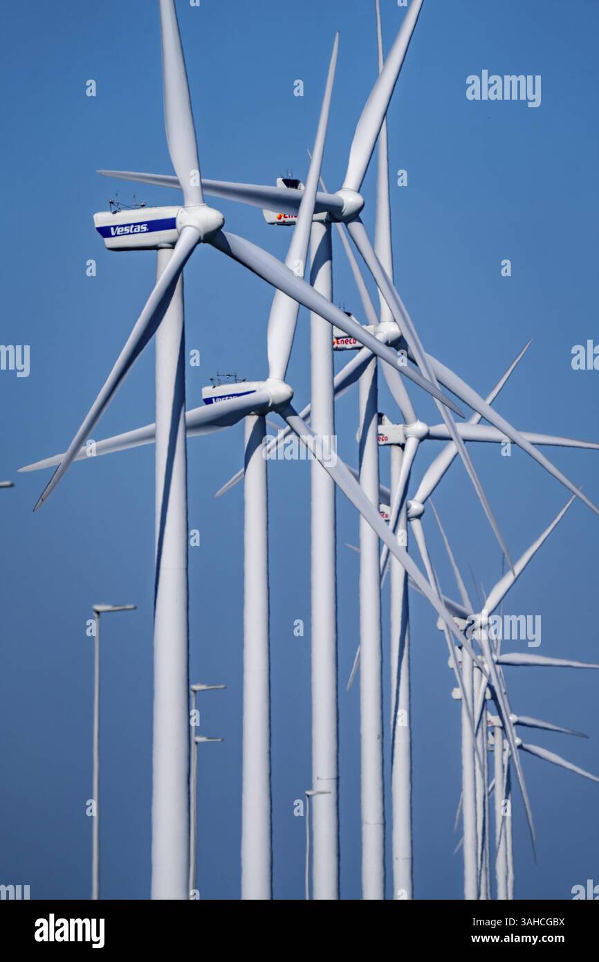 Wind farm on the Nordzeeweg, on a long spit of land between the Maas ...