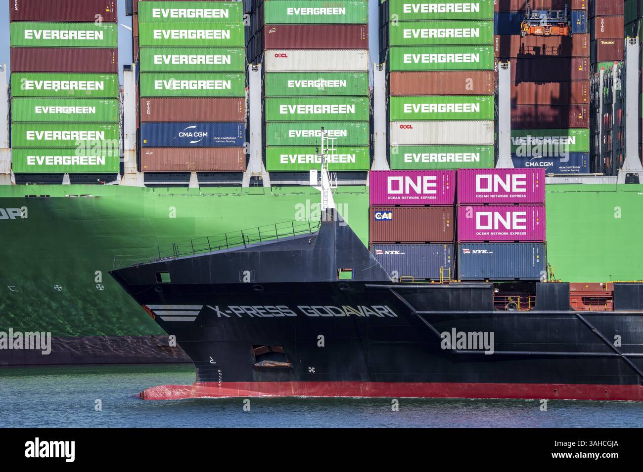 Container freighter Ever Atop at its berth at Hutchison Ports ECT ...