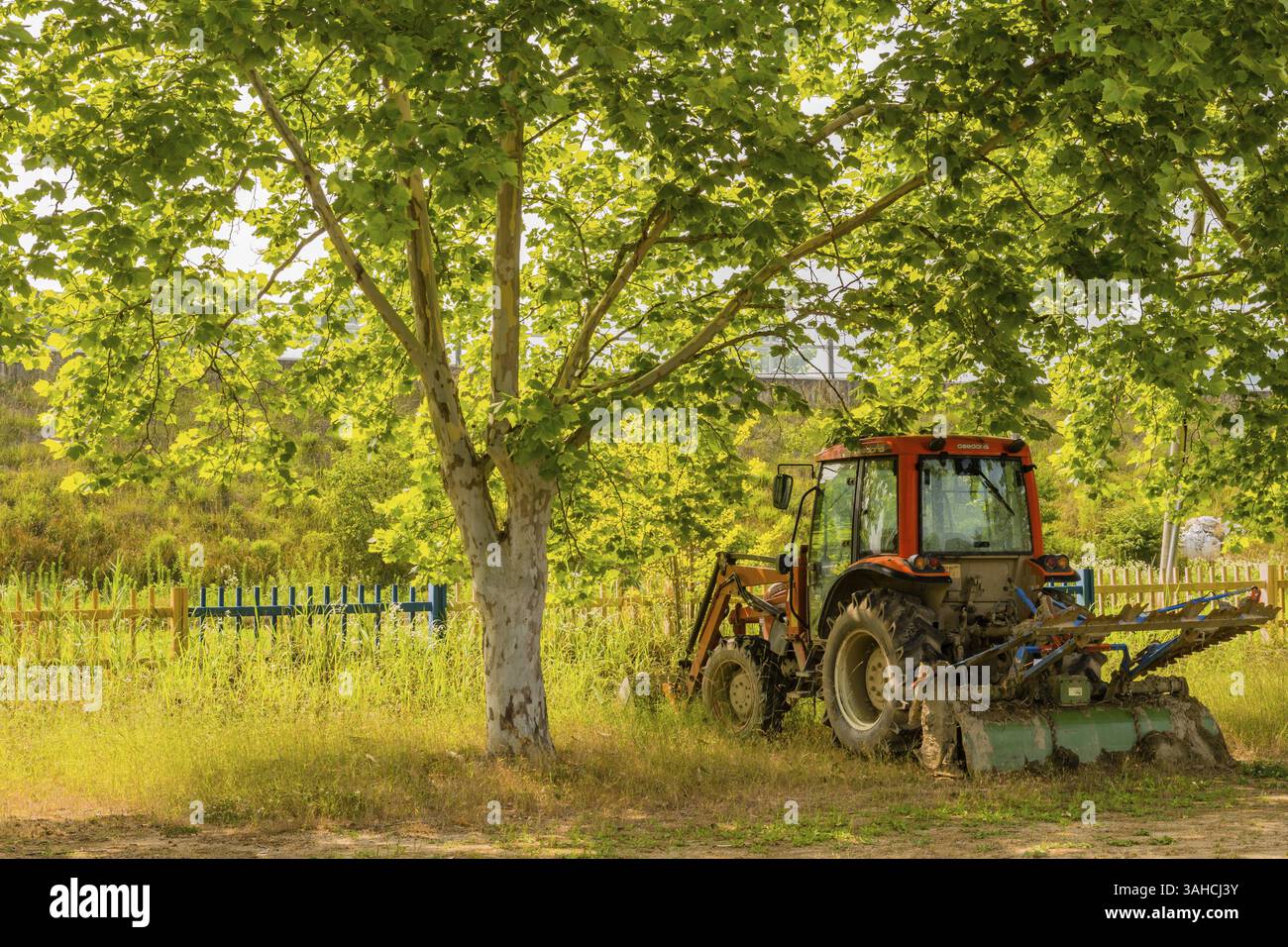 Sangju, South Korea. June 28, 2019: Tractor with lawn mowing attachment ...