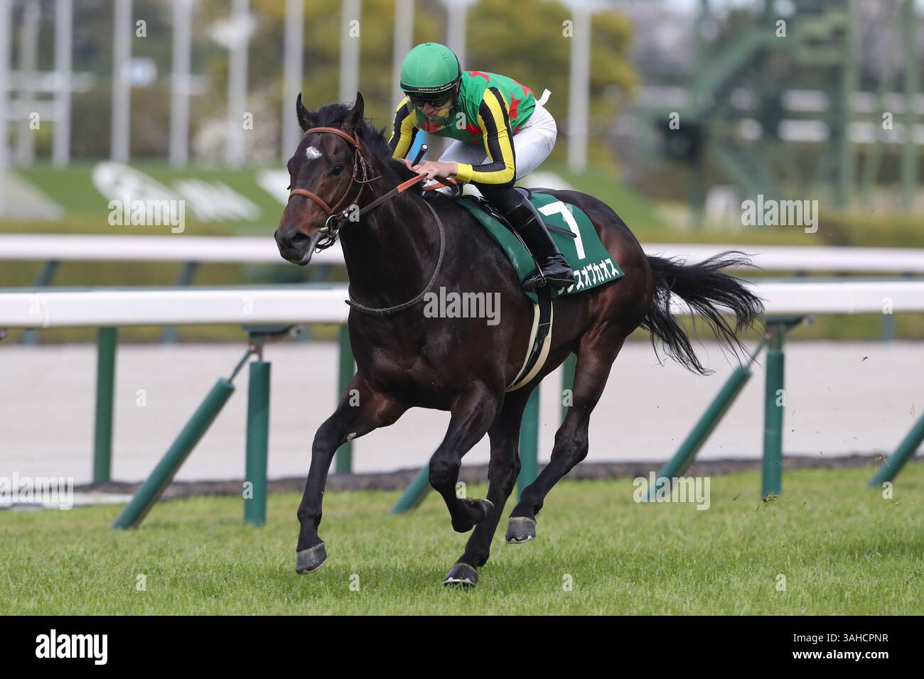 2025/04/05 HANSHIN 11R THE CHURCHILL DOWNS CUP Lance of Chaos/Seinosuke ...