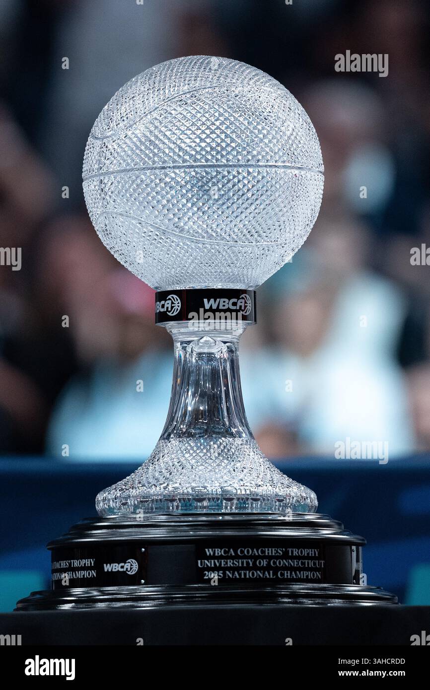 A general image of the WBC Coaches trophy which is presented to the ...