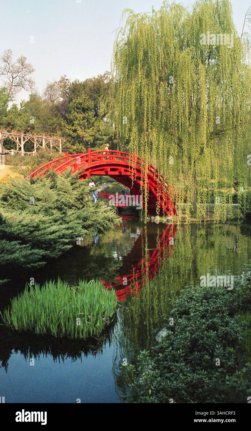 San Marino, CA, USA, approx. 1988. The Japanese Garden bridge at the ...