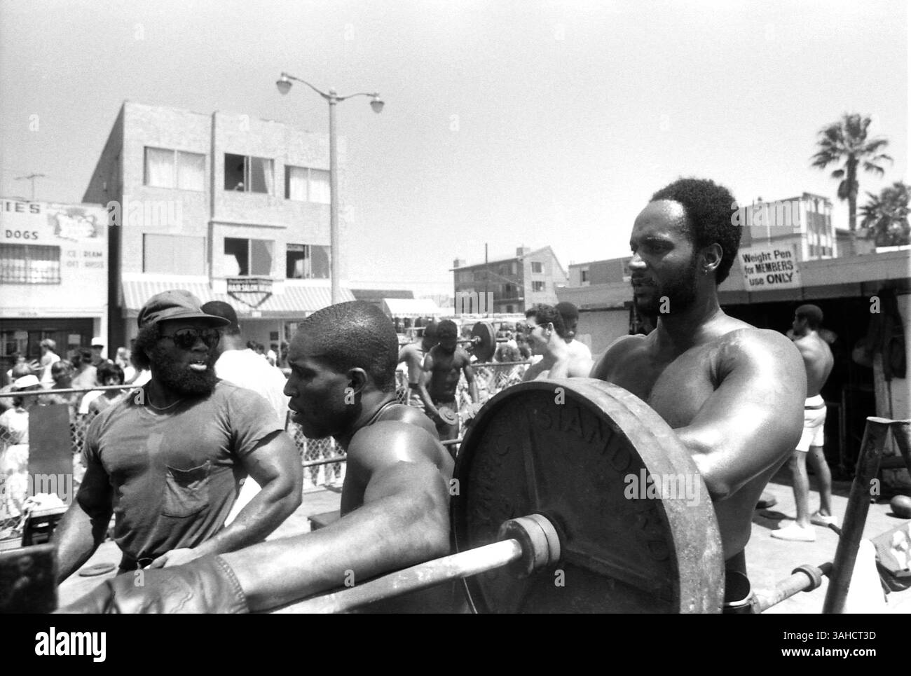 Los Angeles, CA, USA, approx. 1985. Weight pen (outdoor gym) at Venice Beach. Bodybuilders ...