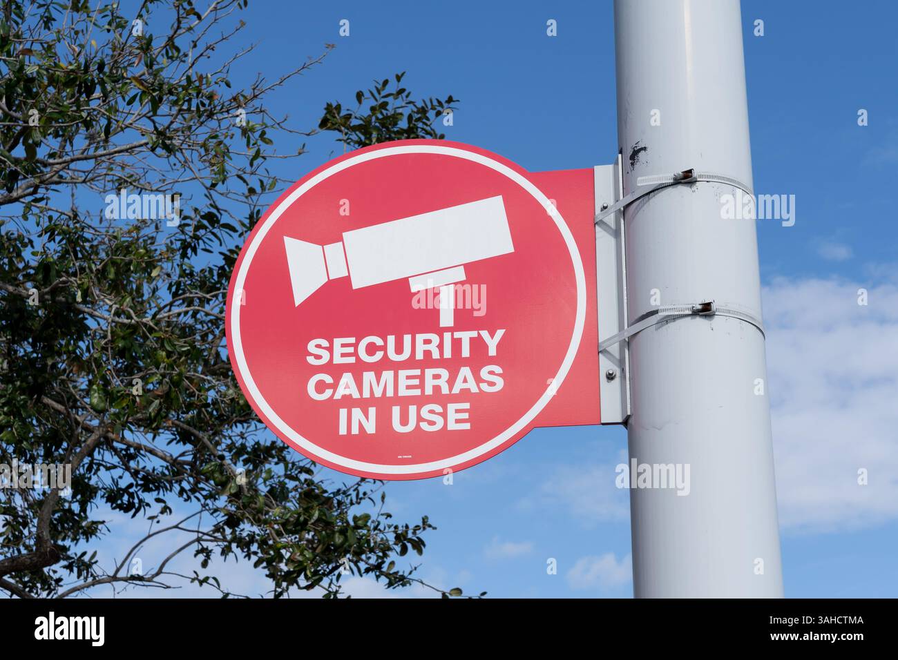A red ‘Security Cameras in Use’ sign on the light pole with a tree and ...