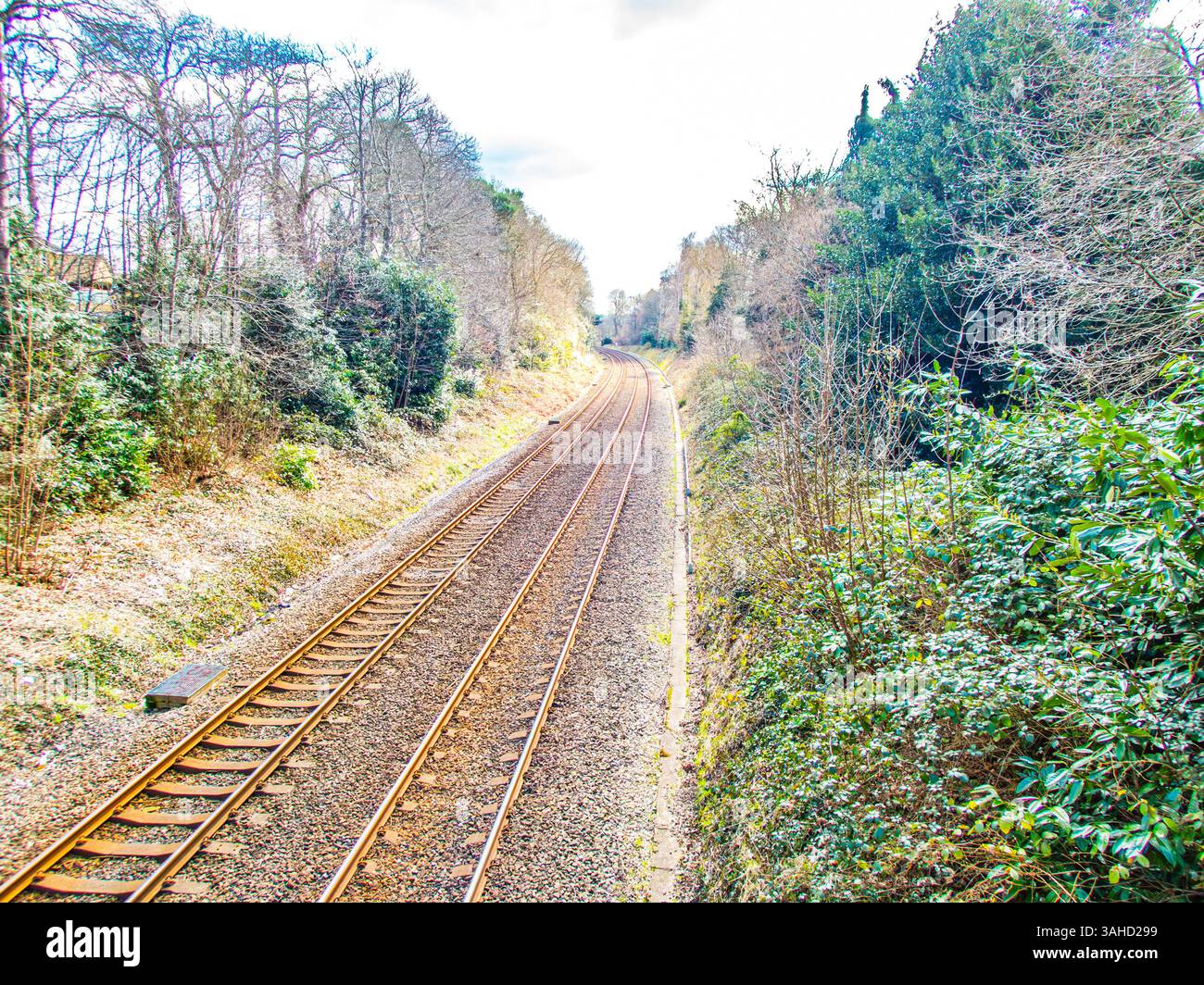 Two railway lines running into the distance with embankments Stock ...