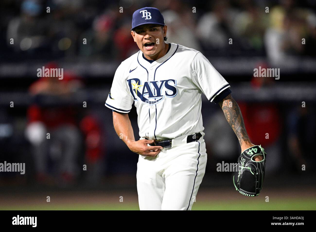 Tampa Bay Rays pitcher Manuel Rodríguez reacts after getting a ...