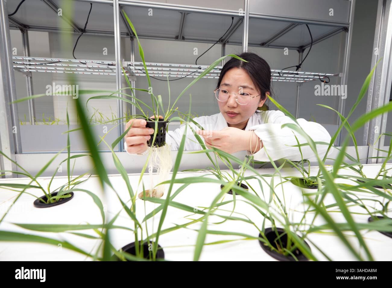 Solving the problem of stable supply of food in hi-res stock ...