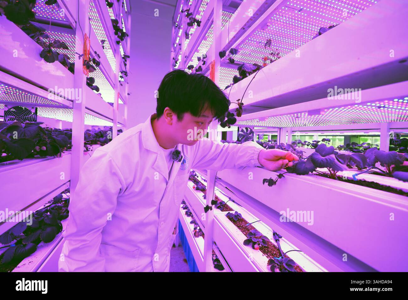 Breeding key laboratory of urban agriculture research institute hi-res ...