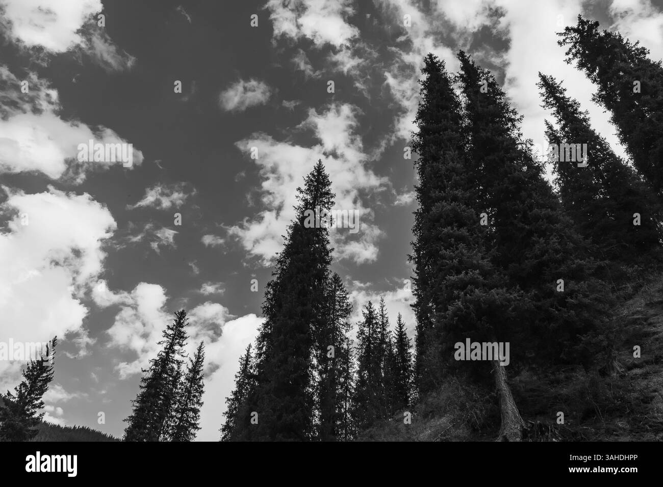 Lake in hill area Black and White Stock Photos & Images - Alamy