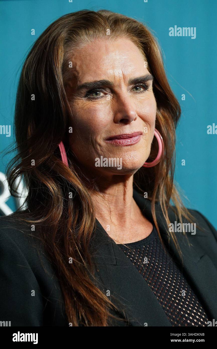 Ny. 09th Apr, 2025. Brooke Shields at arrivals for AMC Networks 2025 Upfront & Content Showcase ...