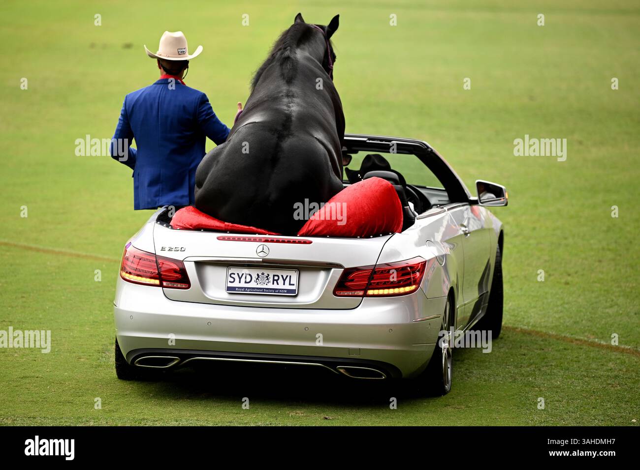 Sydney, Australia. 10th Apr, 2025. Dave Manchon and horse Vegemite ride ...