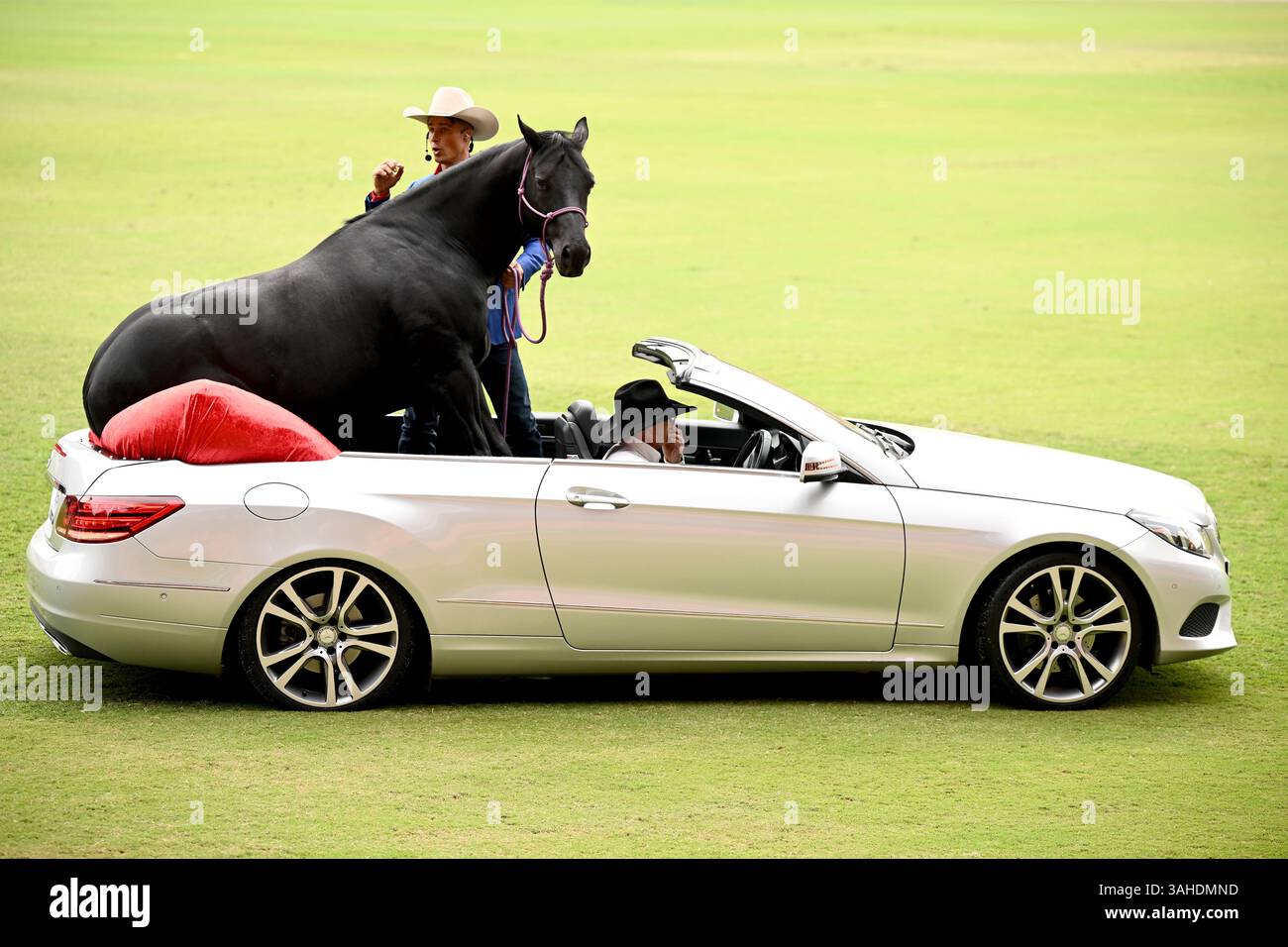Sydney, Australia. 10th Apr, 2025. Dave Manchon and horse Vegemite ride ...