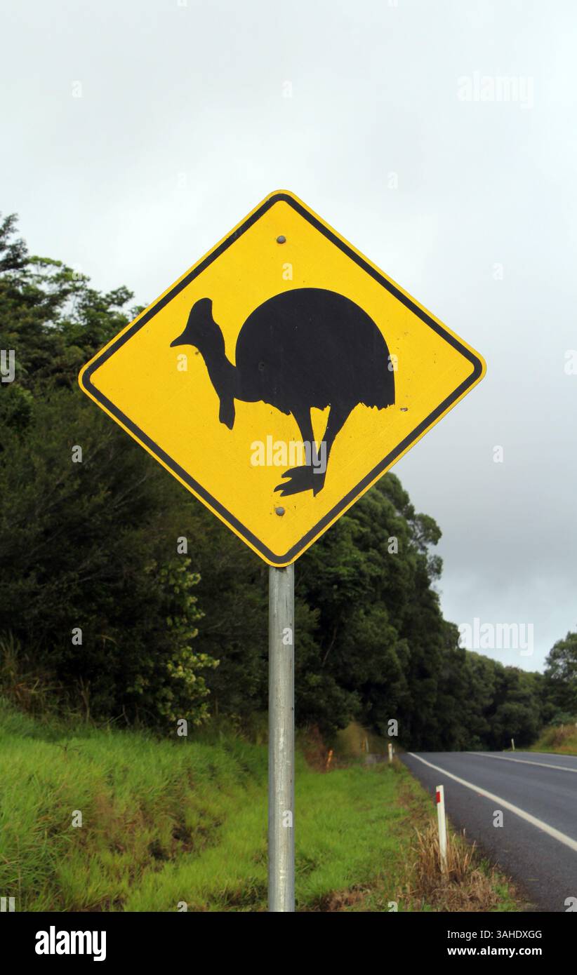 Cassowary crossing sign next to a road in Far North Queensland ...