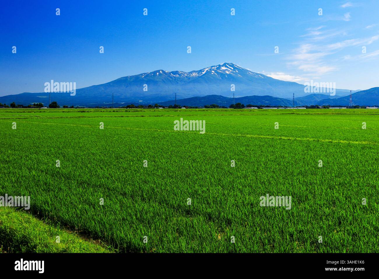 From the Shonai Plain in Yamagata in early summer, the elegant snow ...