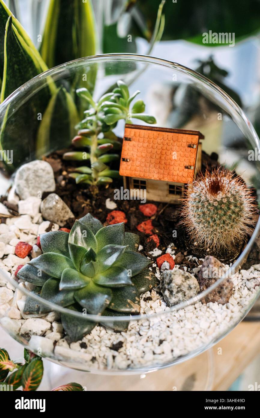 Miniature terrarium with succulents, cactus, rocks, and a tiny house ...
