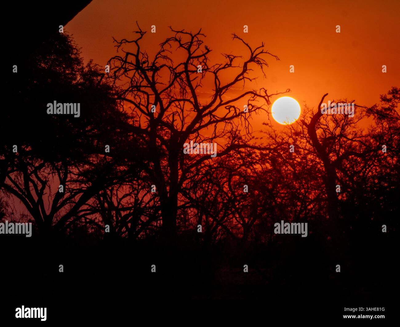 Atmospheric sunset in the Okovango Delta. The Okovango Delta is a ...
