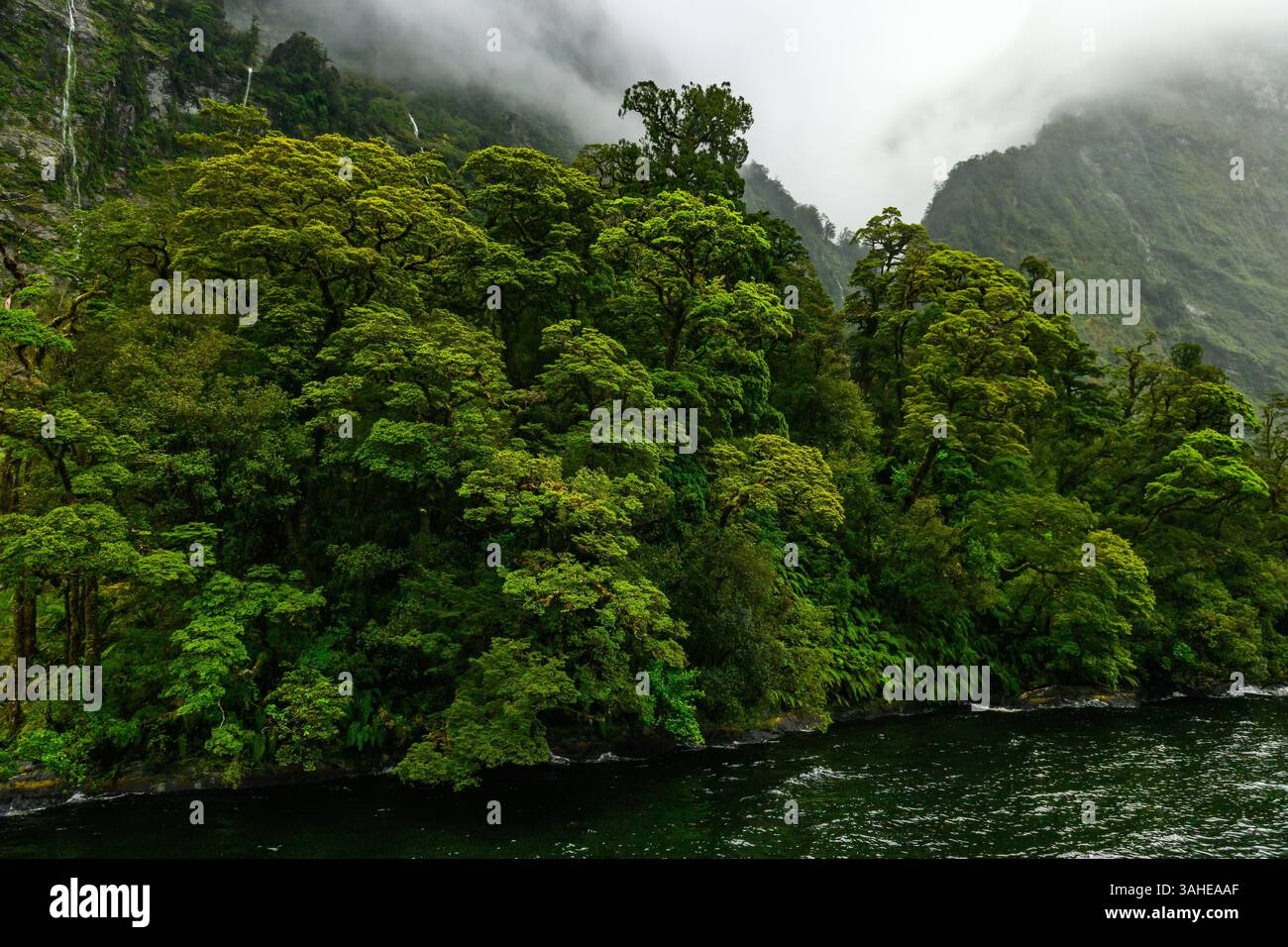 Doubtful Sound / Patea is a fiord in Fiordland, in the far south west ...