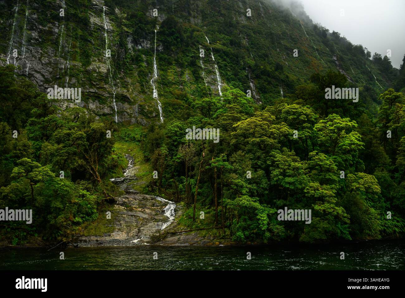 Doubtful Sound / Patea is a fiord in Fiordland, in the far south west ...