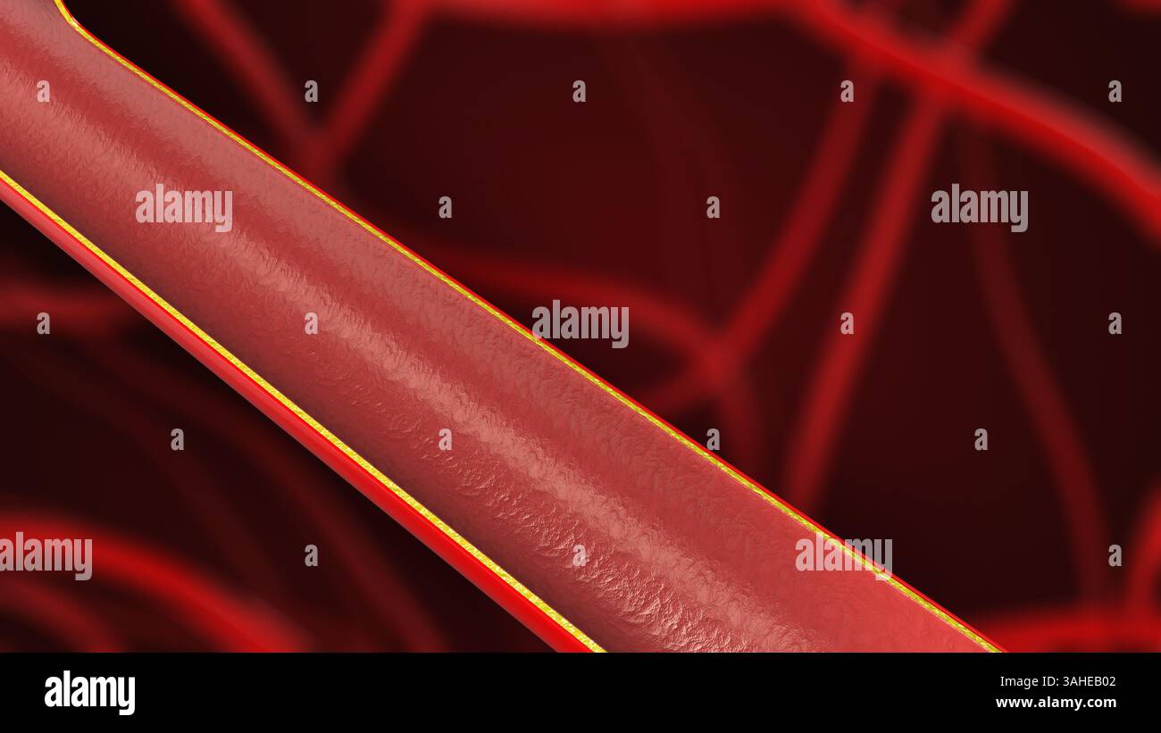 Healthy arterial cross-section blood flow Stock Photo - Alamy