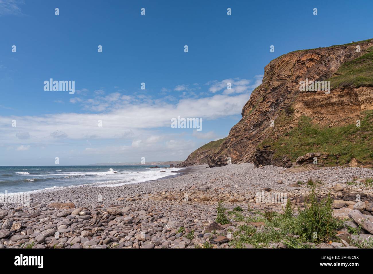 The cliffs and beach in Millook Haven, Cornwall, England, UK Stock ...