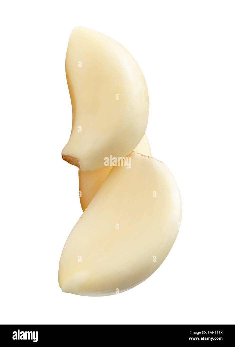 Side view of three white peeled garlic cloves or pieces in stack is ...