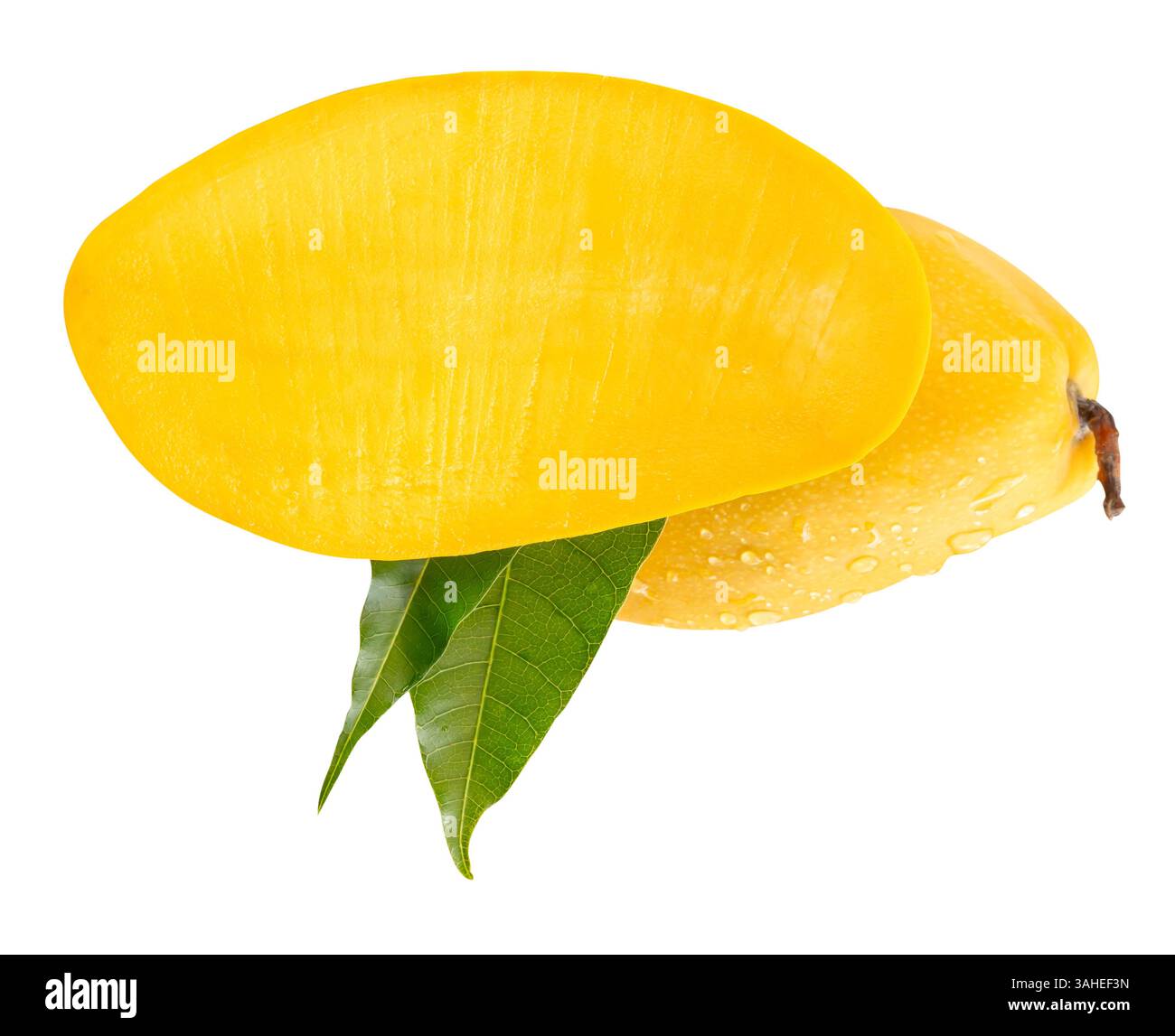 Single ripe yellow mango and half with green leaves and water droplets ...