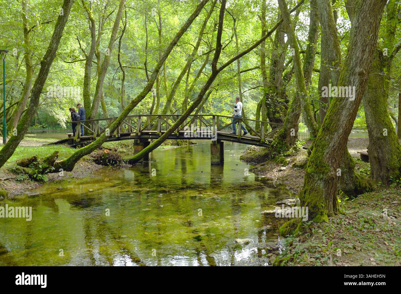 Bridge [river crossing] stream hi-res stock photography and images - Alamy