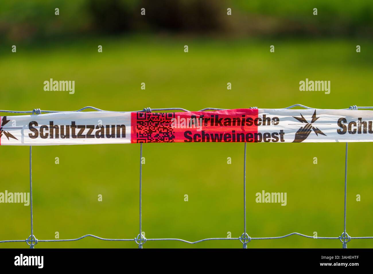 Rimbach, Germany. 09th Apr, 2025. A fence against the spread of African ...