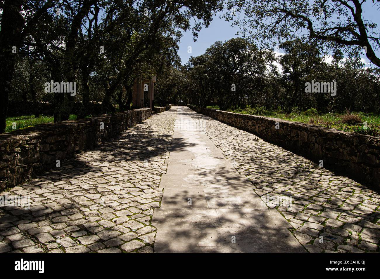 Stone paved pathway lined by trees in Fatima, Portugal viewed during ...