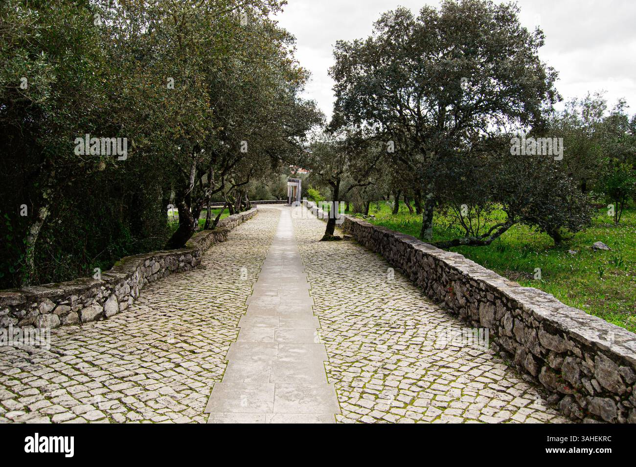 Scenic pathway in Fatima, Portugal, surrounded by trees and green ...