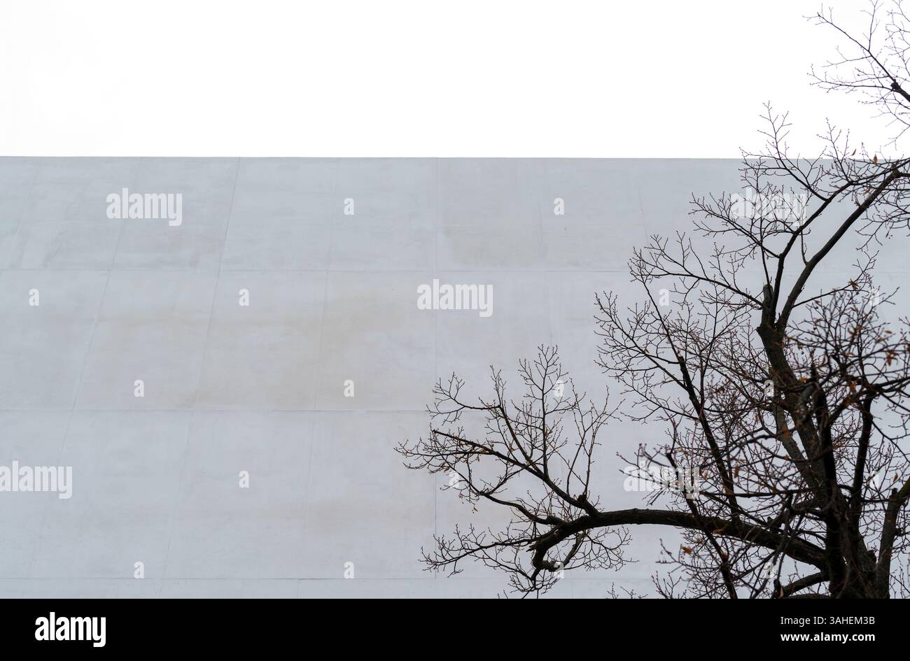 Front facade of a modern building on a cloudy day. Concrete structure ...