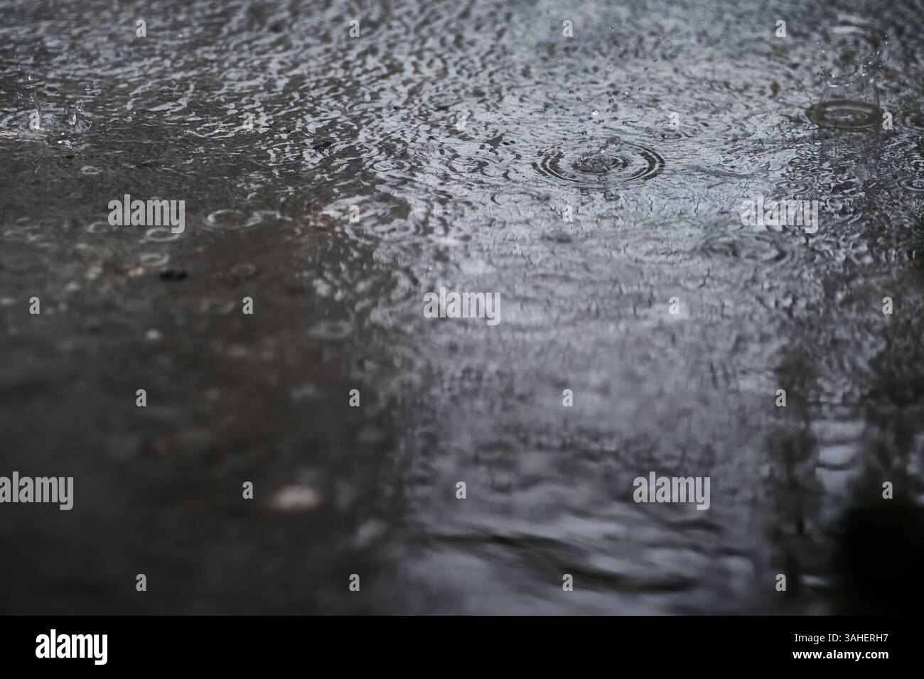 raining on the concrete walk way full with rain droplets splash ring bounce off the surface of ...