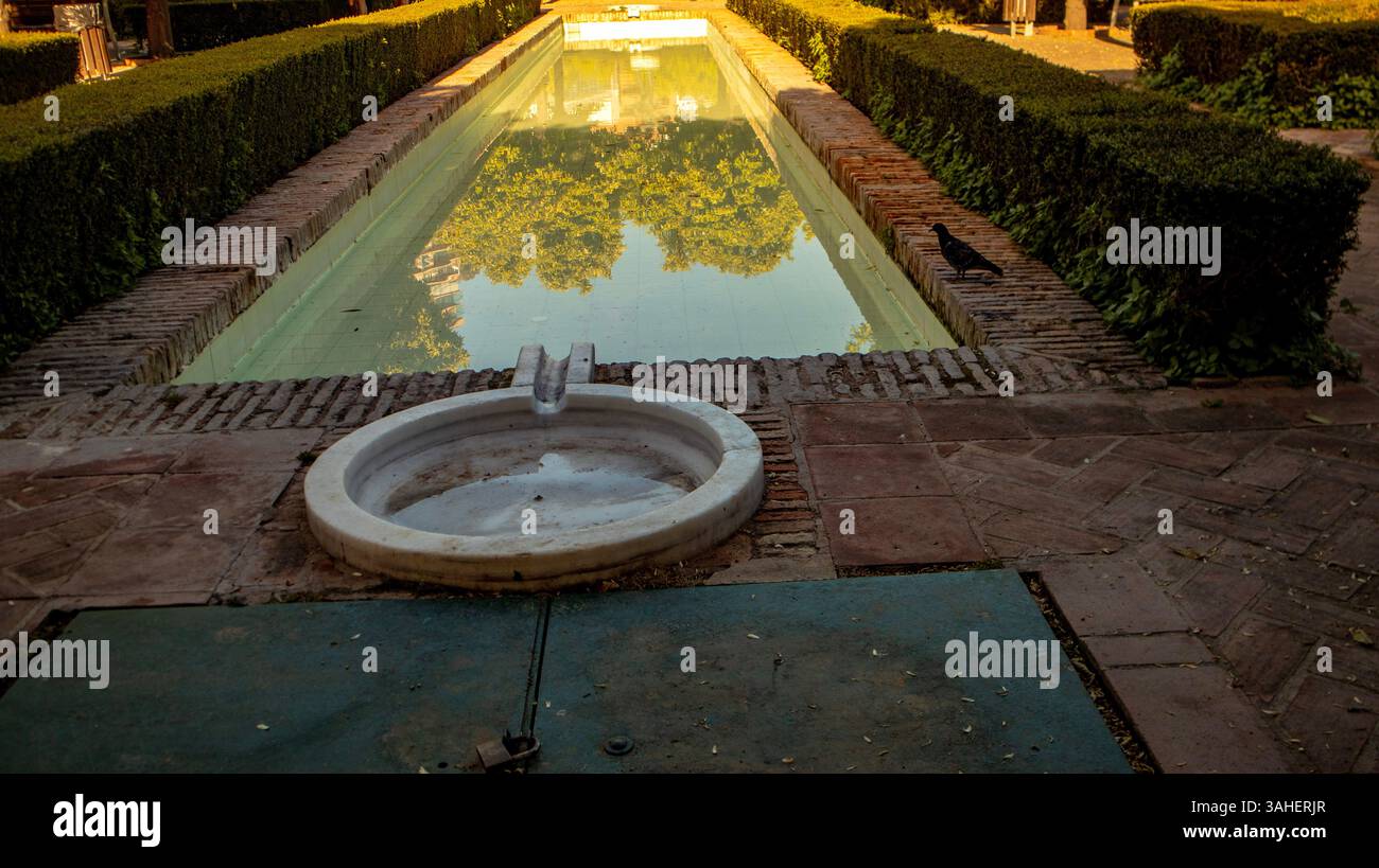 Malaga,Spain,Paseo de Parque, historic gardens Stock Photo - Alamy