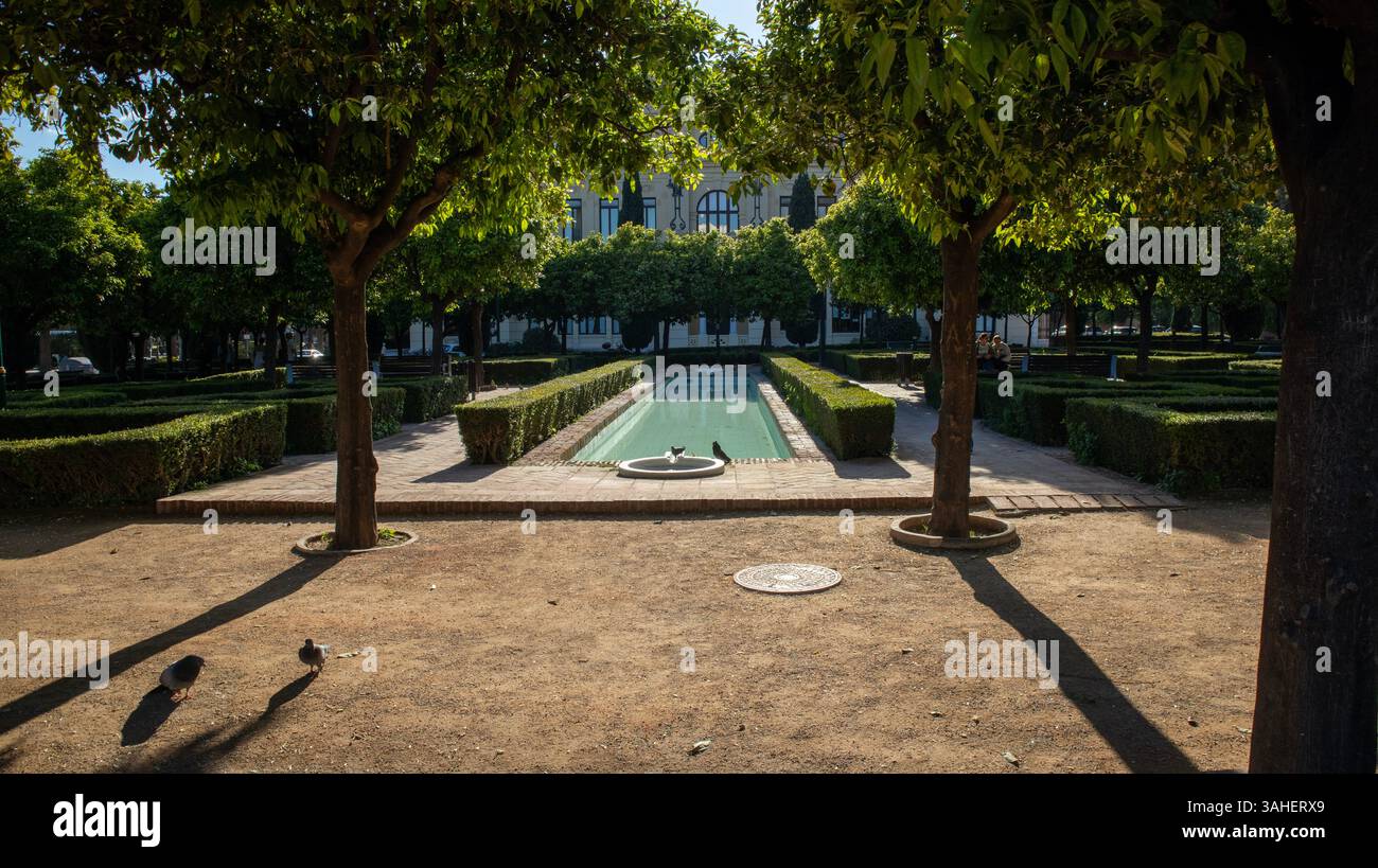 Malaga,Spain,Paseo de Parque, historic gardens Stock Photo - Alamy