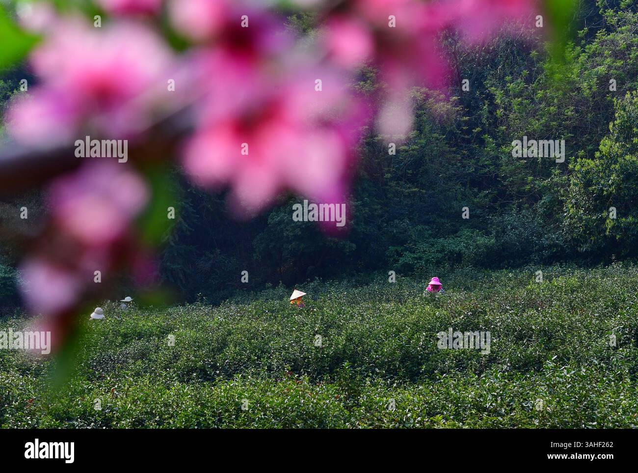 April 9 2025 hi-res stock photography and images - Alamy