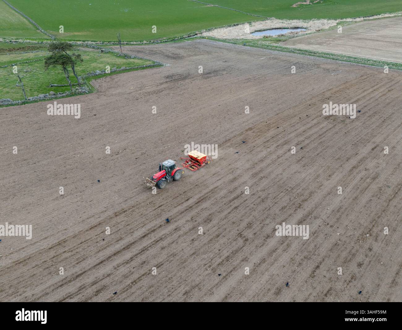 Tractor direct seed drilling and tilling a field near Ellon ...